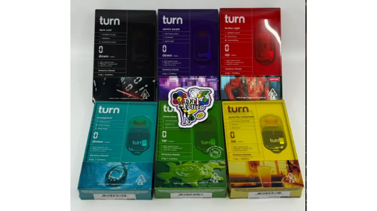 Troubleshooting: Why Your Turn Retrovision 2 g Screen Won’t Light Up or ...