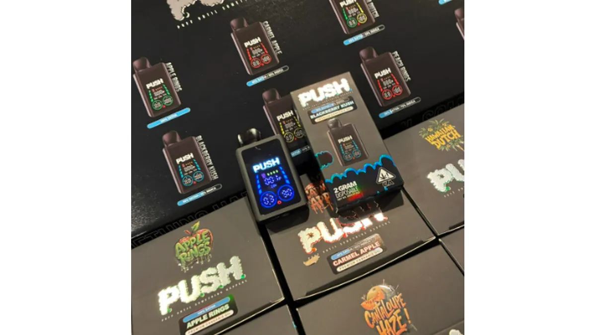 PUSH Vape vs. Pod Systems: Which One Reigns Supreme for Daily Use?
