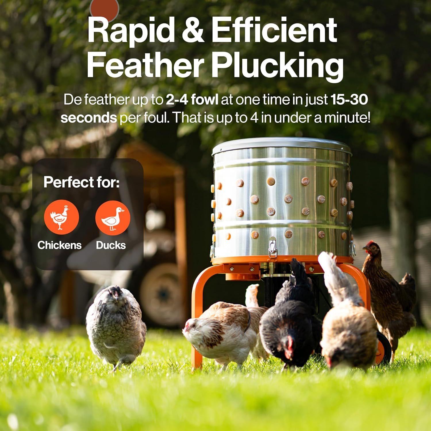 Top Chicken Plucker Machines for Small Farms in 2026
