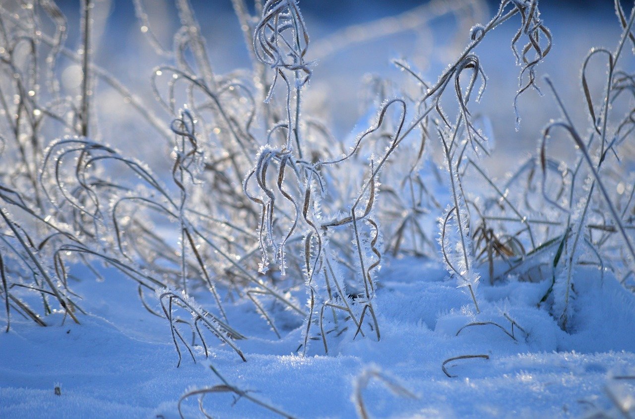 Why Taoism and Buddhism Often Blend in Chinese Culture – Taoism & Manifest