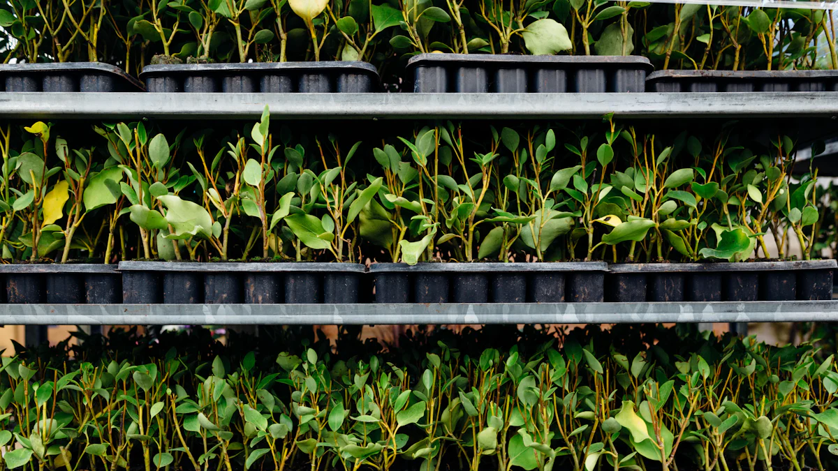 Exploring Types of Controlled Environment Agriculture Systems - Miilkiia