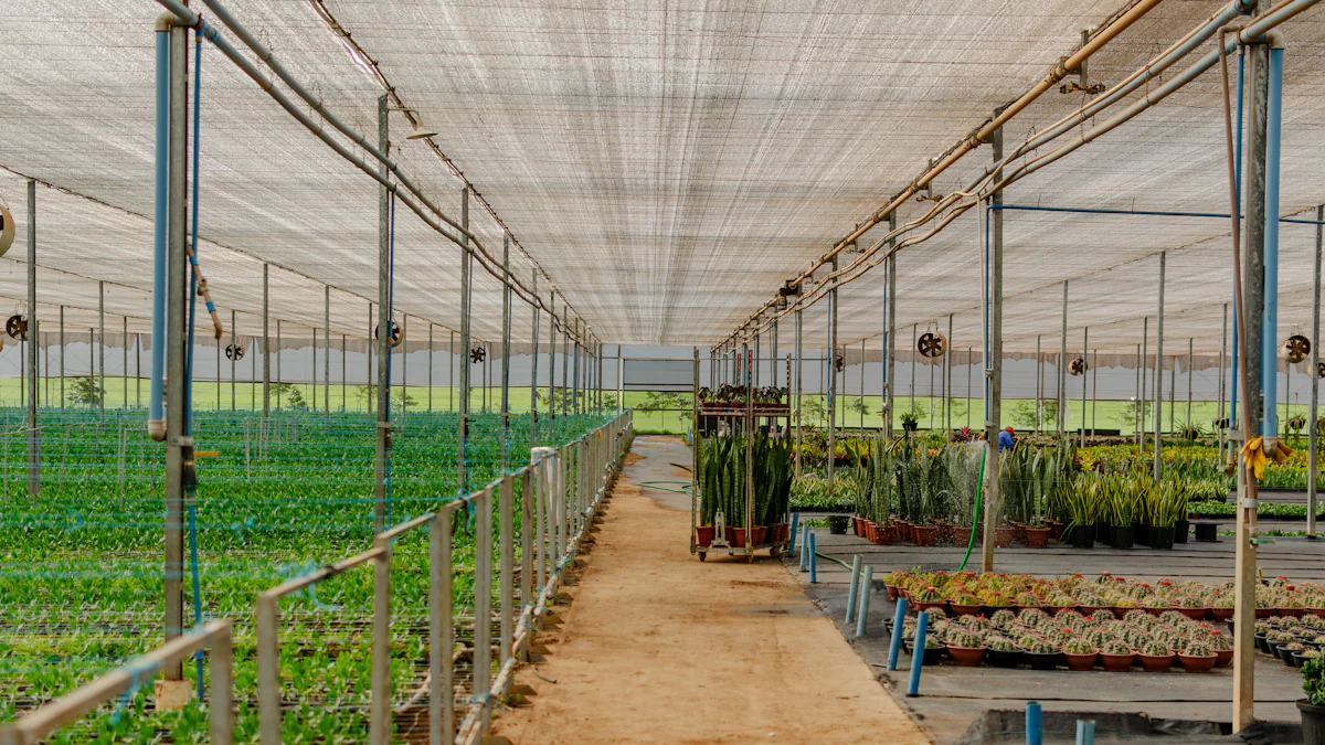 Vertical Farming Challenges and Its Bright Future - Miilkiia