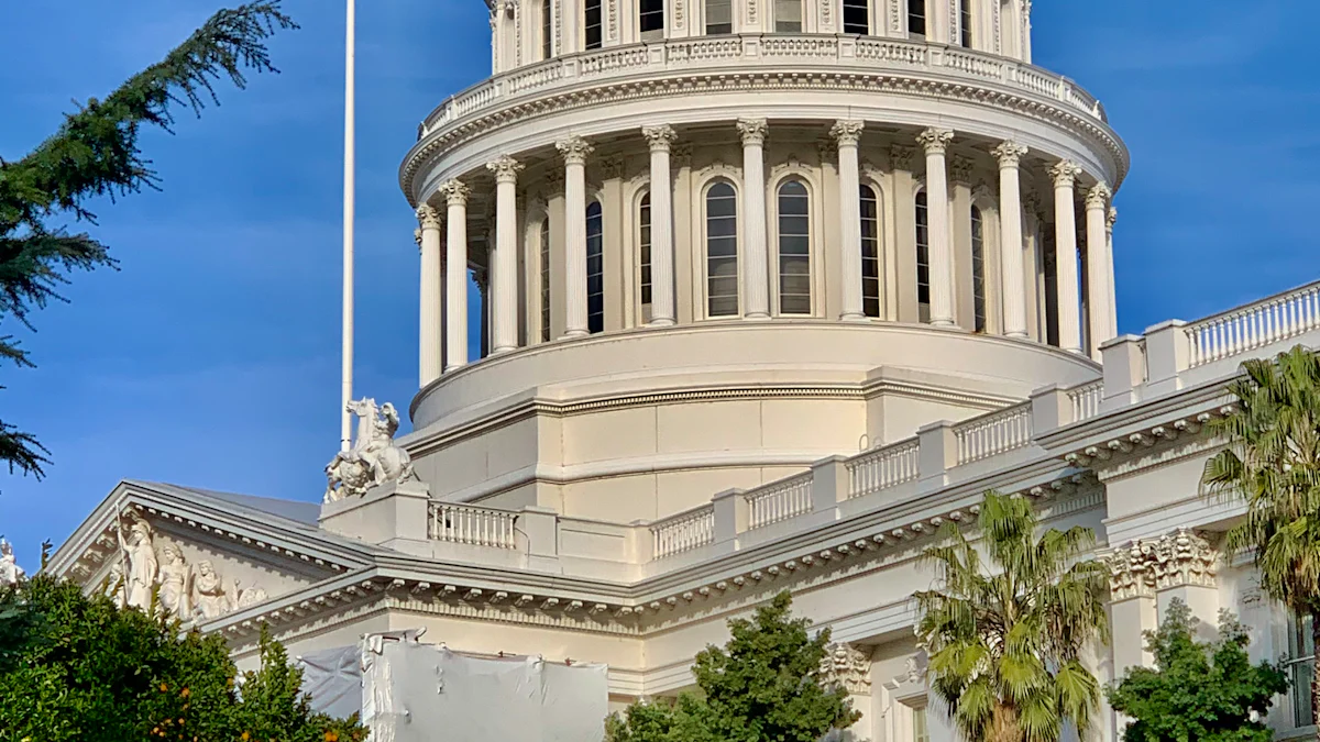 State Assemblies vs. Legislative Bodies Explained