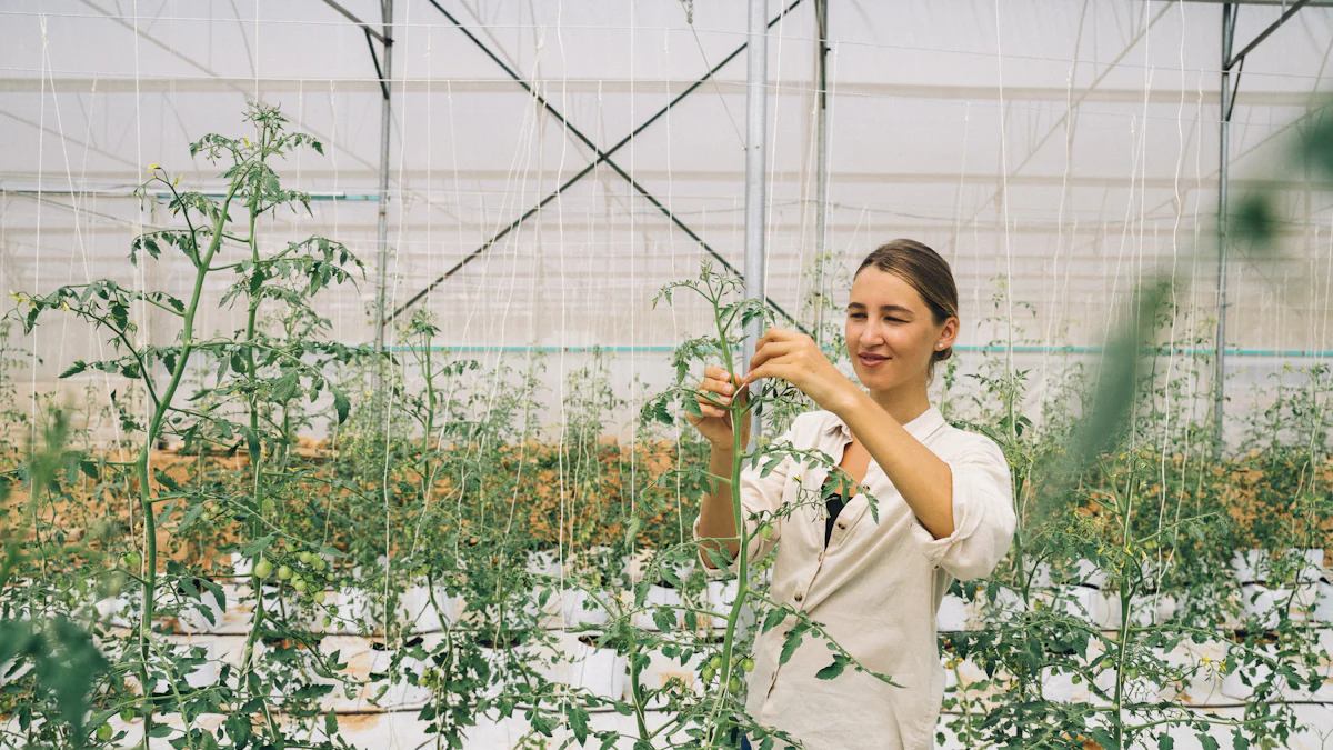 A Complete Guide to Automating Hydroponic Nutrient Delivery Systems ...