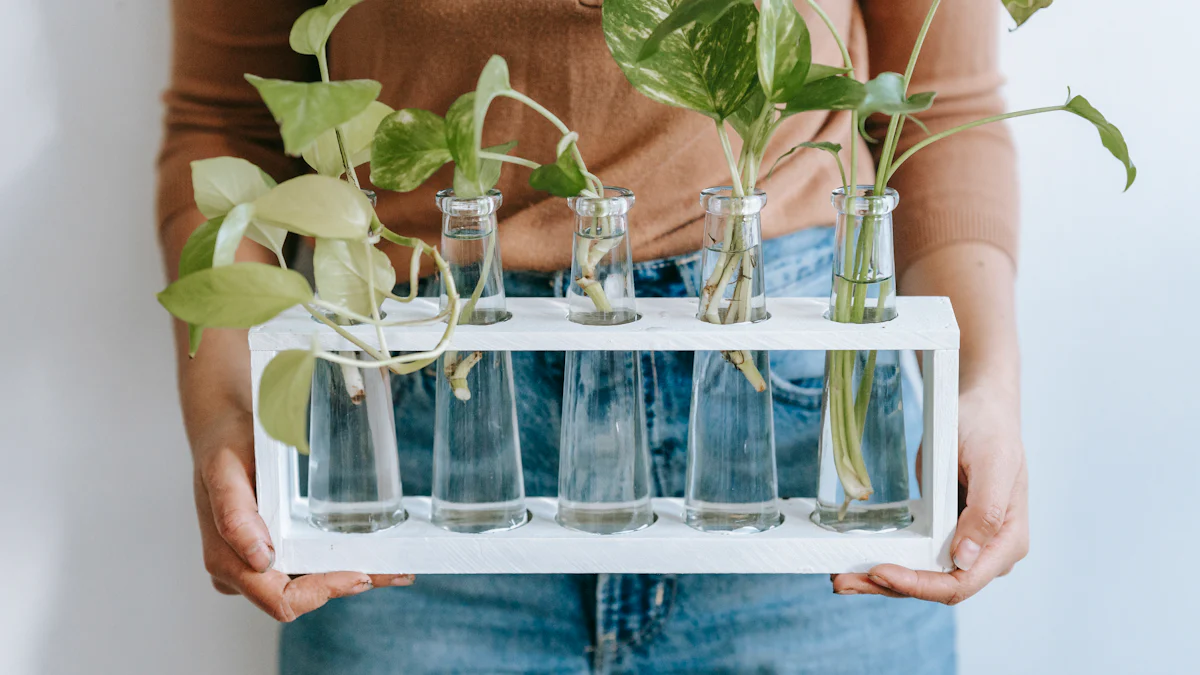 Hydroponic Watering System Made Easy for Beginners - Miilkiia