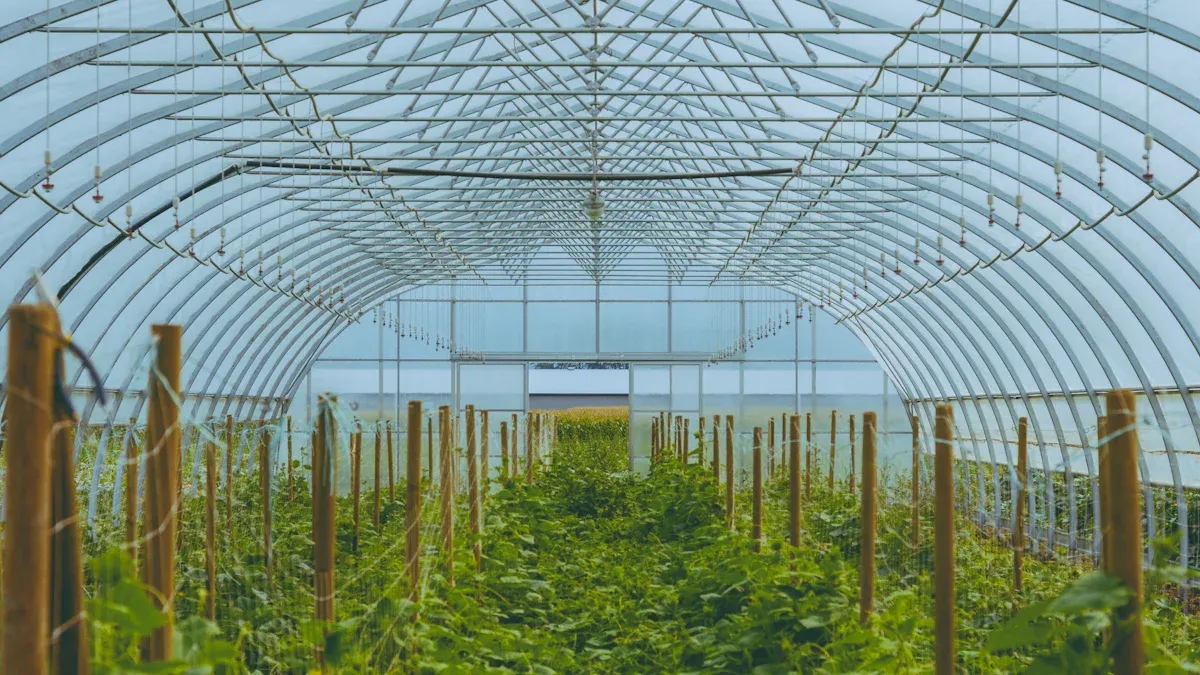 Understanding Multi-Span Greenhouses and Their Functionality - Miilkiia