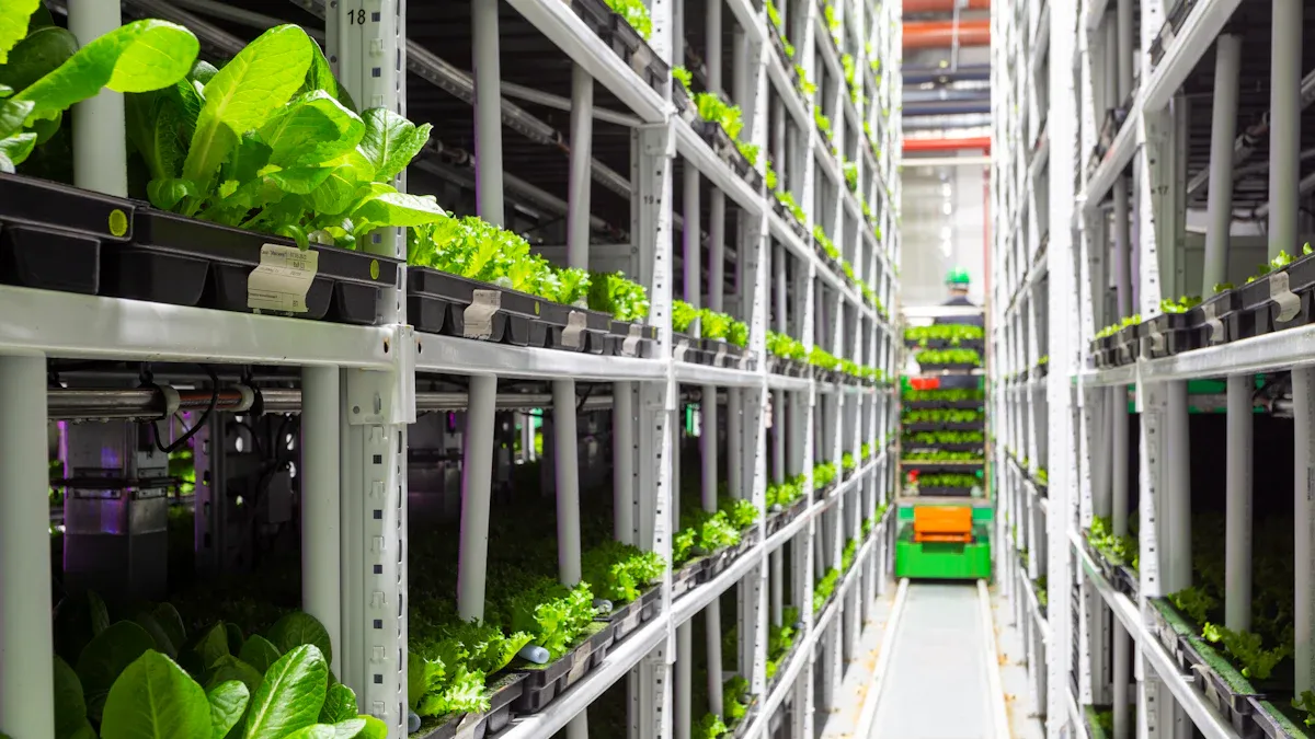 How to Design a Commercial Indoor Vertical Farm (Without Costly Mistakes)