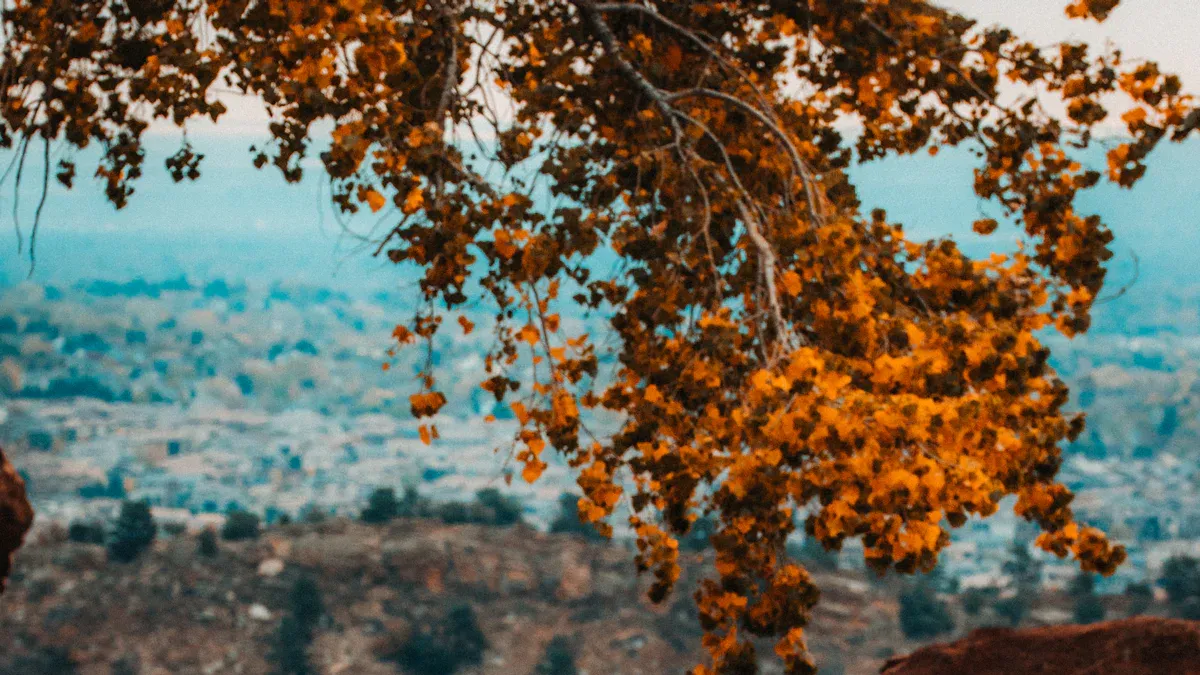 Best Camaro Car Wrap Tips for Beginners - 10KWRAPS