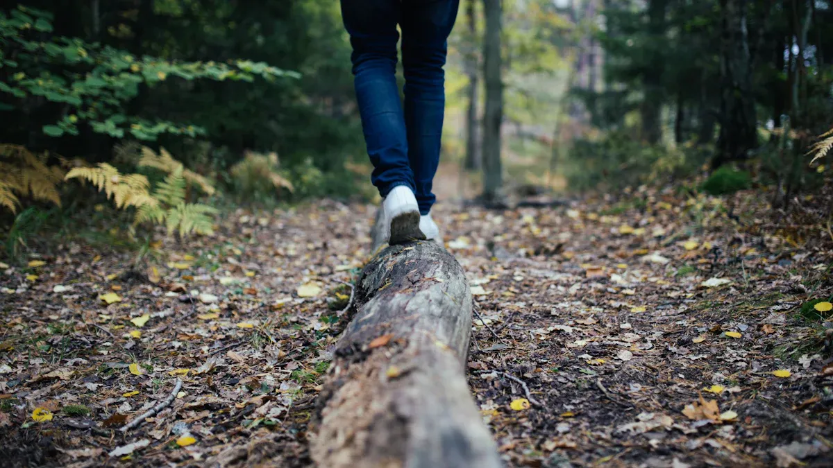 What is the importance of harmony between man and nature today – Taoism ...