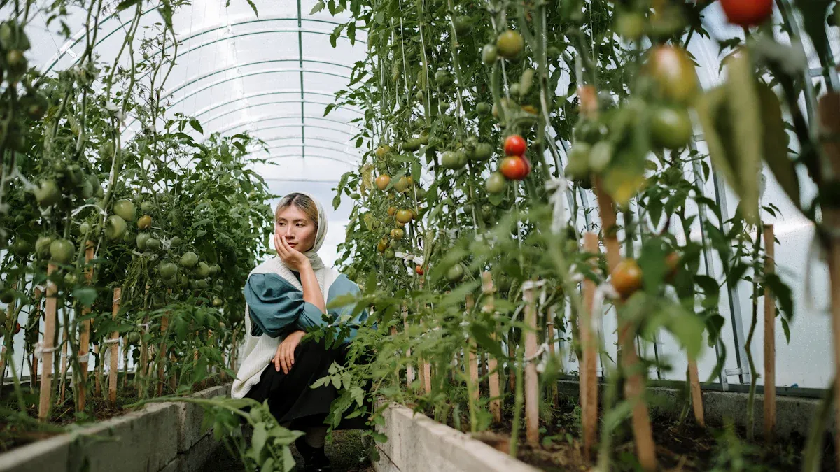 Xu hướng chính định hình kỹ thuật hậu cần môi trường năm nay - XTransfer