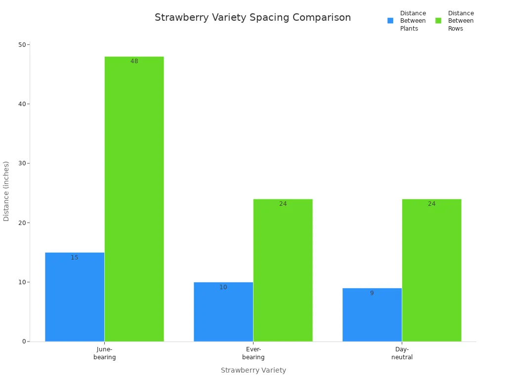 Growing Strawberries Vertically The Upsides and Downsides Explained