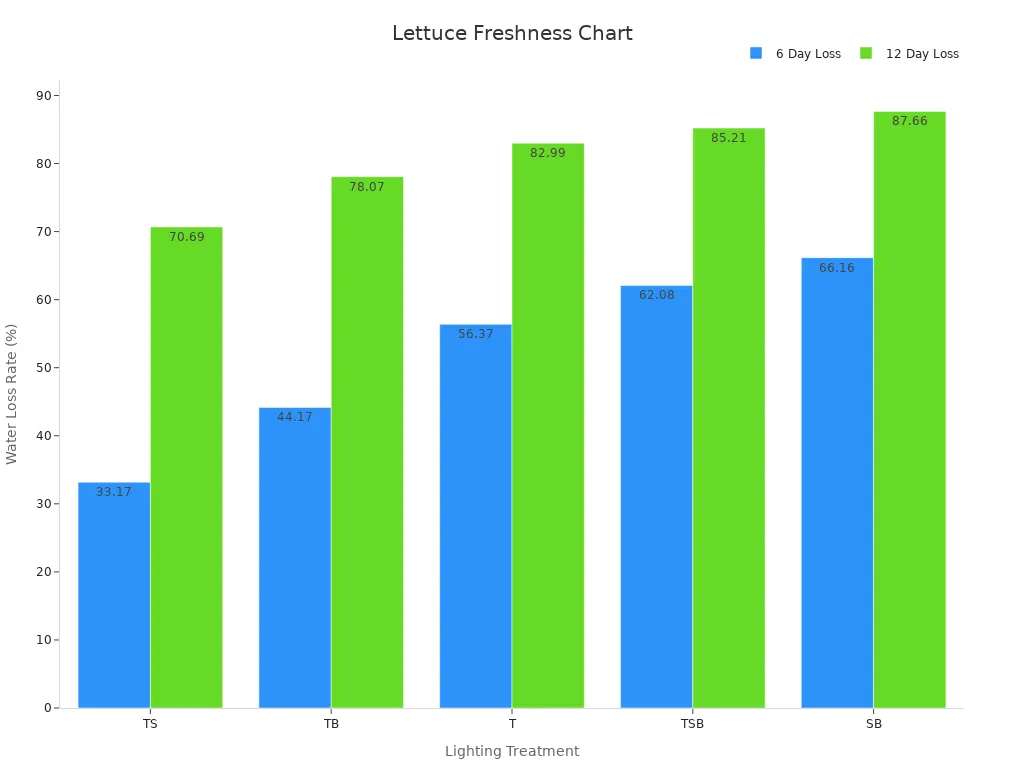 Lettuce Vertical Farming: 7 Smart Moves for Faster ROI