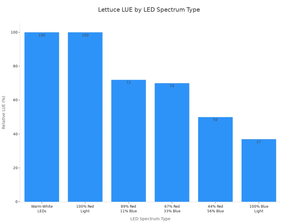 Year-Round Lettuce Growing Indoors with LED Grow Lights Made Easy